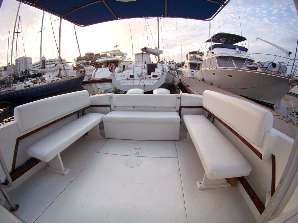 boat -back – Vallarta Natours